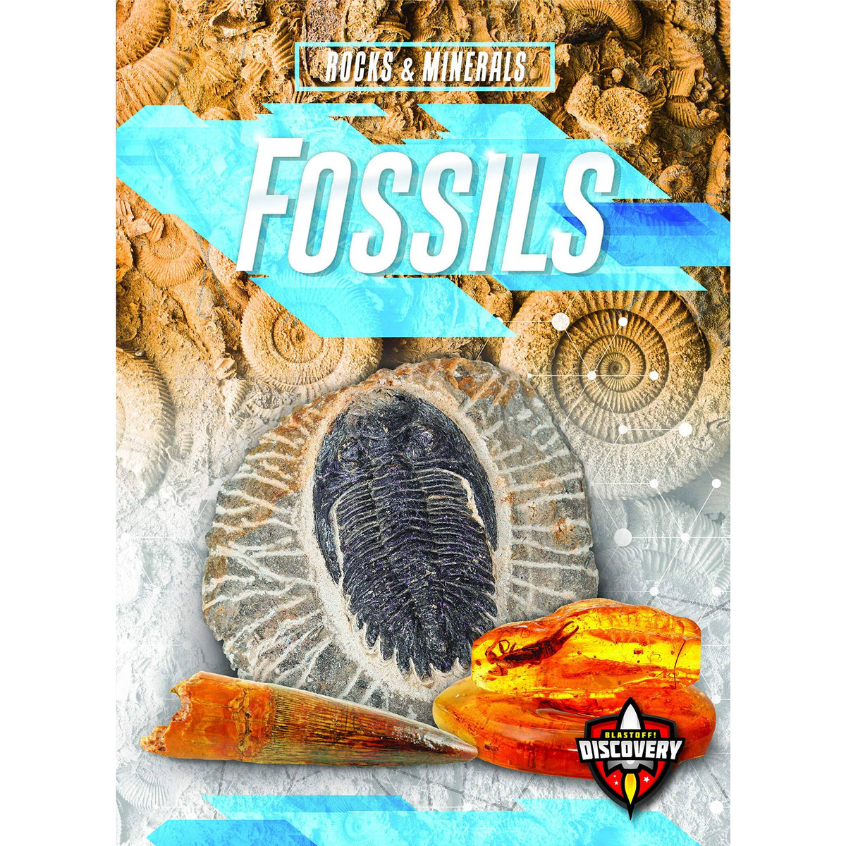 Book Title: Fossils (Rocks & Minerals) – VOX Books