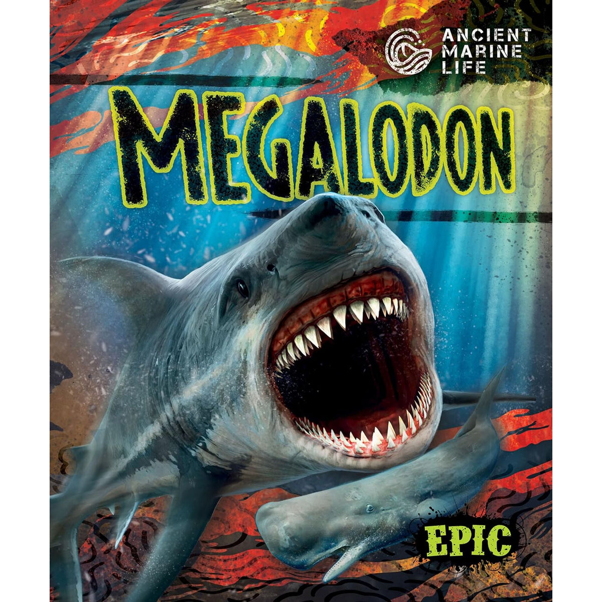 Book Title: Ancient Marine Life: Megalodon – VOX Books
