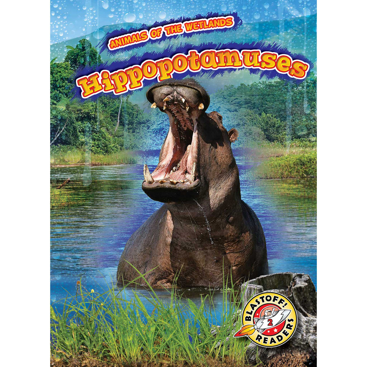 Book Title: Hippopotamuses (Animals of the Wetlands) – VOX Books
