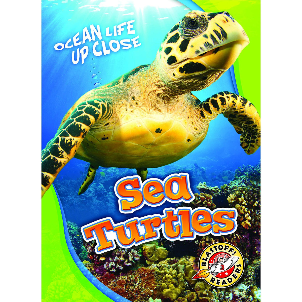 Book Title: Sea Turtles (Ocean Life Up Close) – VOX Books