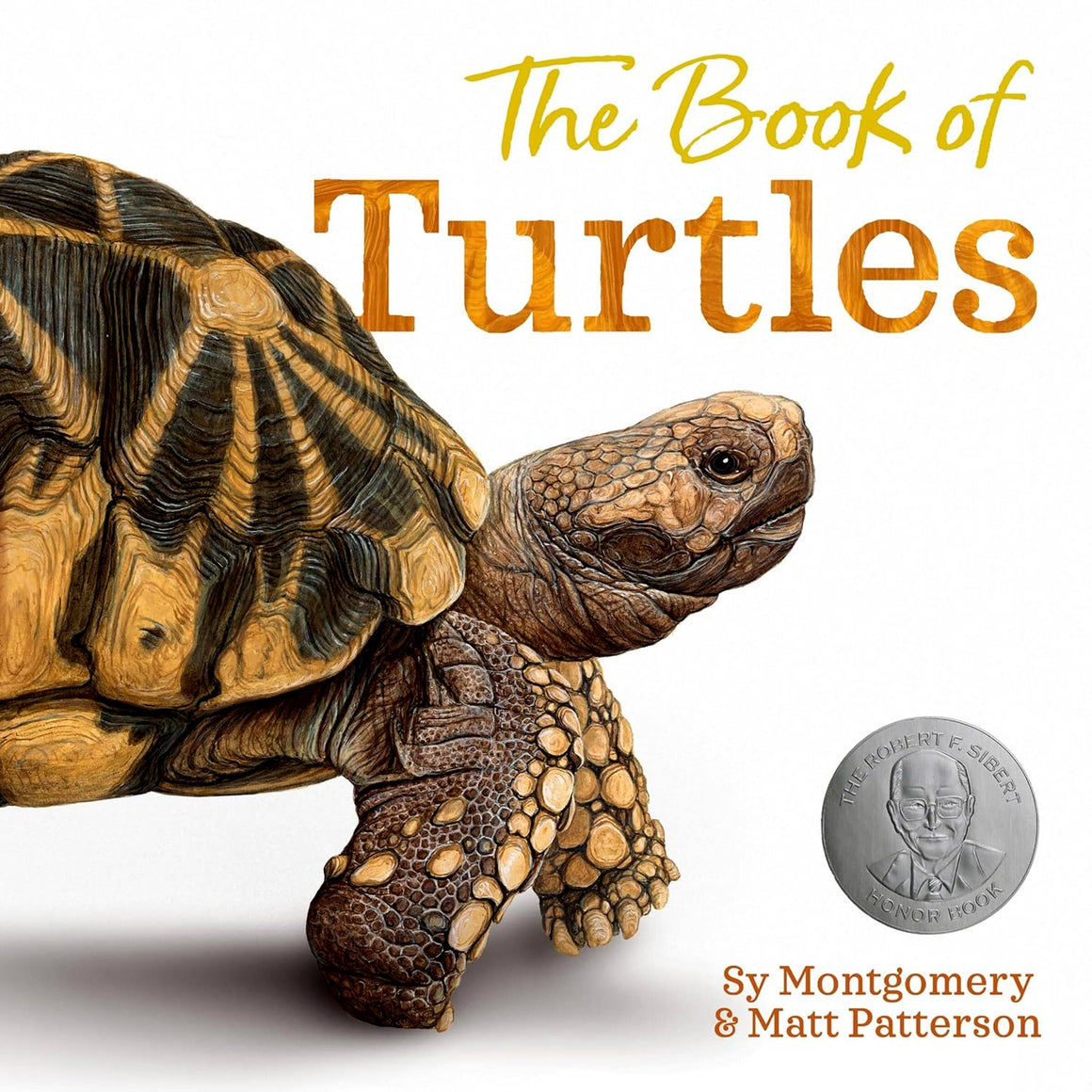 Book Title: The Book of Turtles – VOX Books
